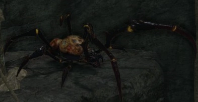 Parasite Spider | Dark Souls Wiki | Fandom