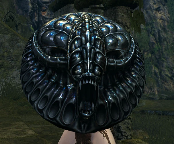 Tarcza z wizerunkiem | Dark Souls Wiki | Fandom