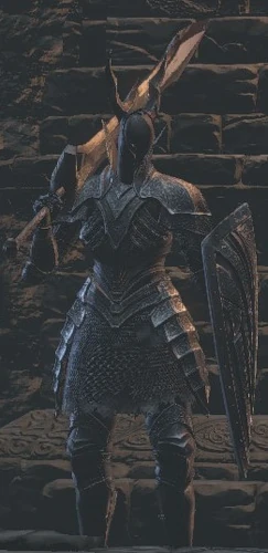 Black Knight (Dark Souls III) | Dark Souls Wiki | Fandom