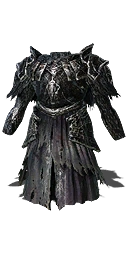 Raime's Armor | Dark Souls Wiki | Fandom