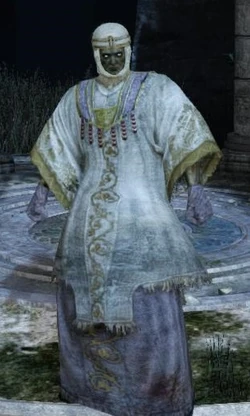 Priestess Set | Dark Souls Wiki | Fandom