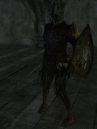 Hollow Soldier (Dark Souls II) | Dark Souls Wiki | Fandom