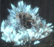 Ravenous Crystal Lizard | Dark Souls Wiki | Fandom