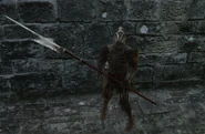 Hollow Soldier (Dark Souls II) | Dark Souls Wiki | Fandom
