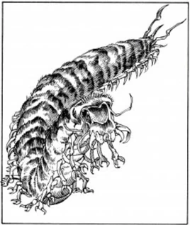 Megapede | Dark Sun Wiki | Fandom