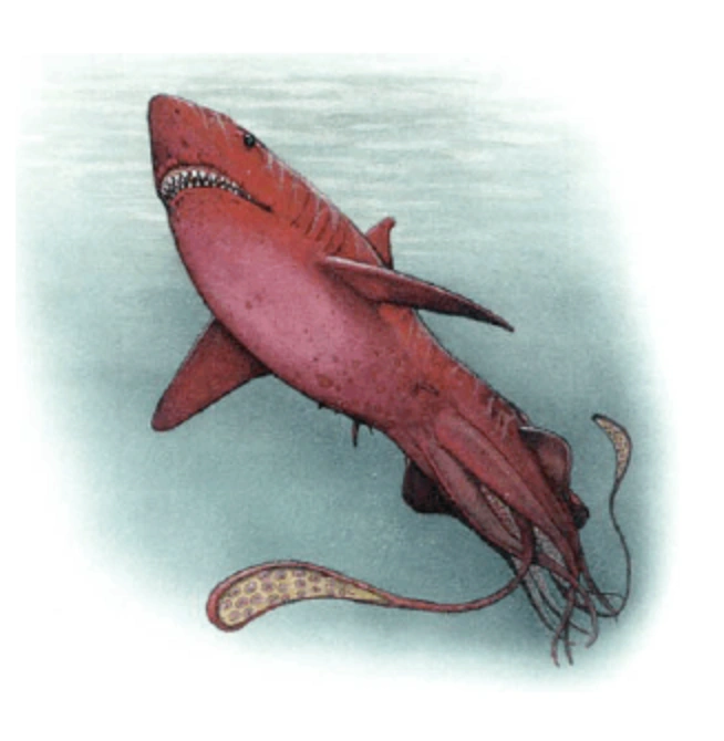 Squark | Dark Sun Wiki | Fandom