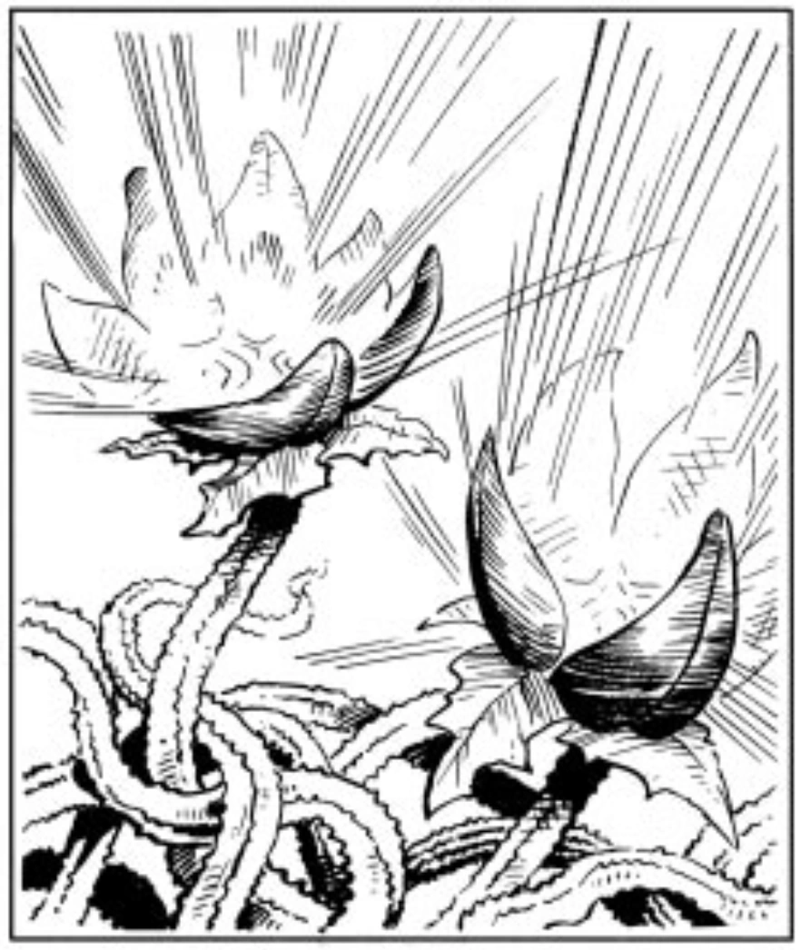 Burnflower | Dark Sun Wiki | Fandom