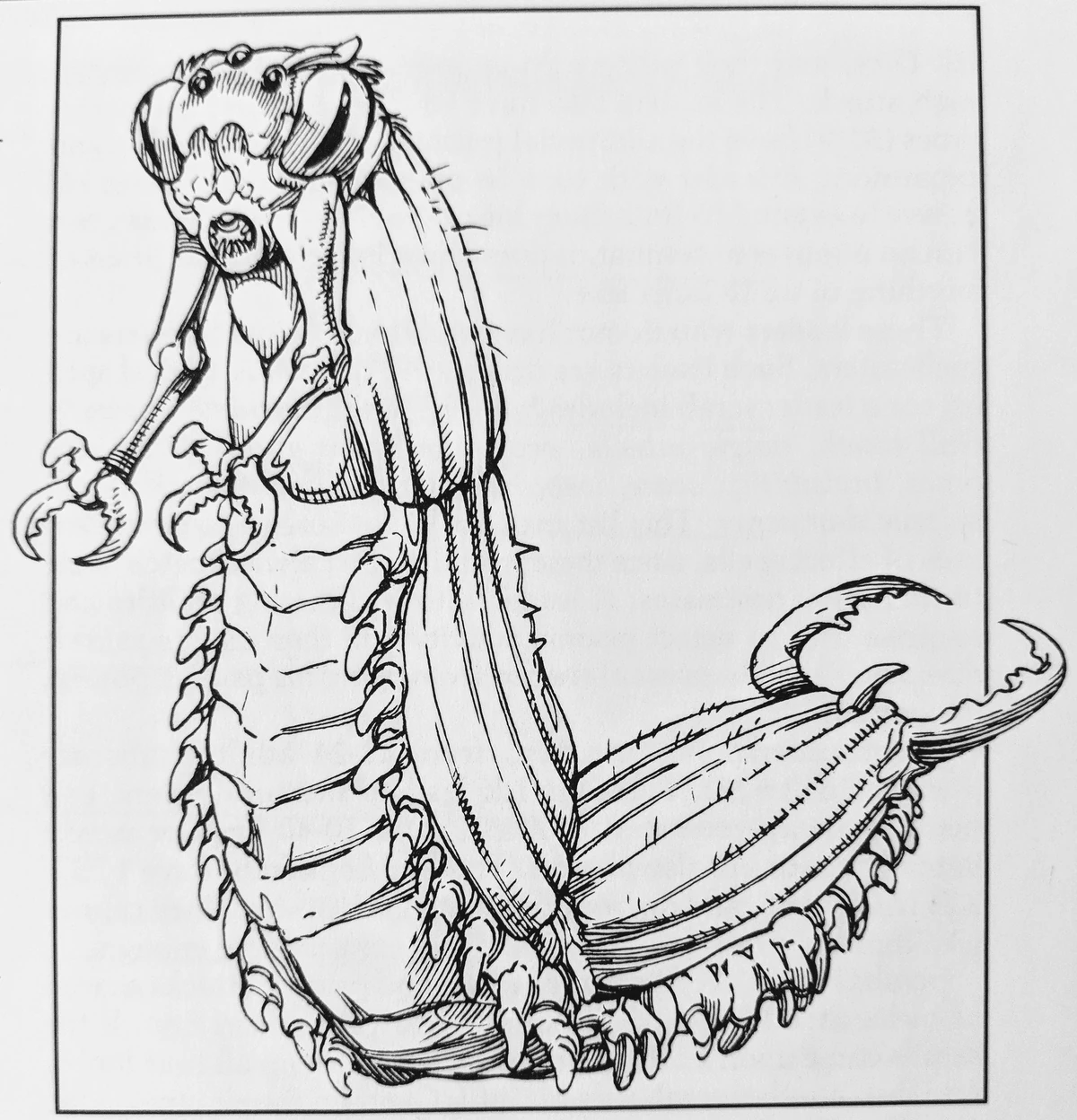 Scrab | Dark Sun Wiki | Fandom