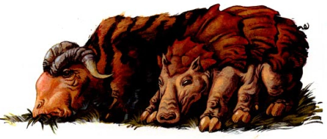 Common Animals | Dark-Sun-bergen Wikia | Fandom