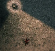 Red Chomper | Darkwood Wiki | Fandom