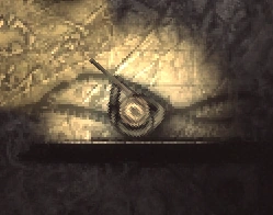 Darkwood | Darkwood Wiki | Fandom