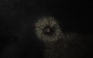 Protagonist | Darkwood Wiki | Fandom