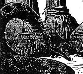 Vibora | The Darna Wiki | Fandom