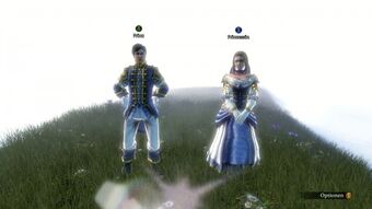 Der Held von Brightwall | Das Fable Wiki | Fandom