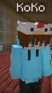 Koko | Dash Minecraft Wiki | Fandom