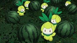 Carina Lilminip | DasPokemonRP Wikia | Fandom