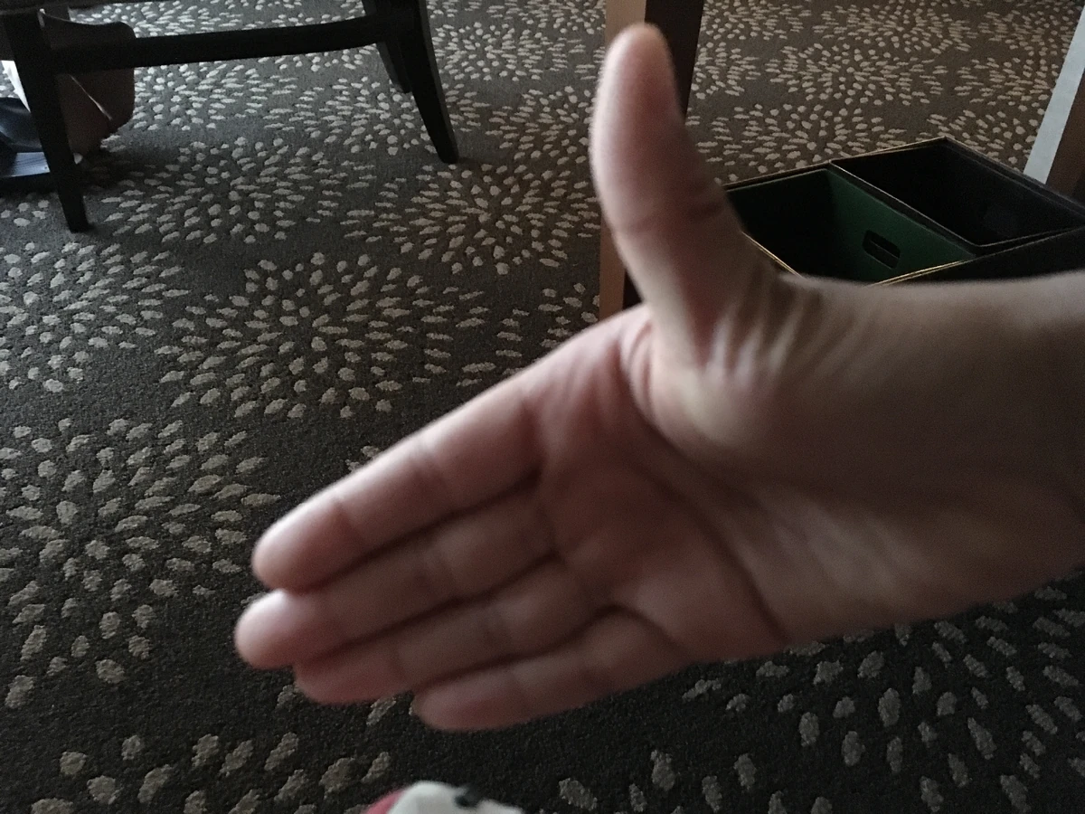 Boi | Dat Meme Wiki | Fandom