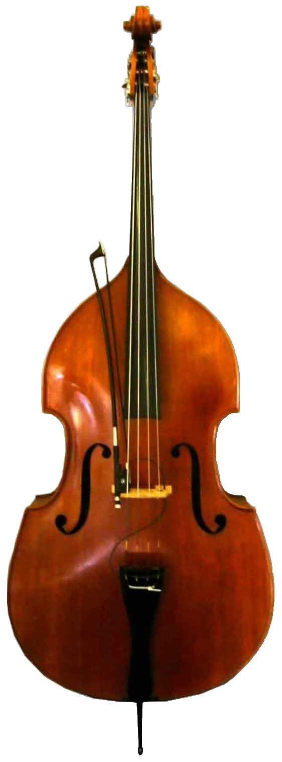 Double Bass | Dat Music Boi Wiki | Fandom