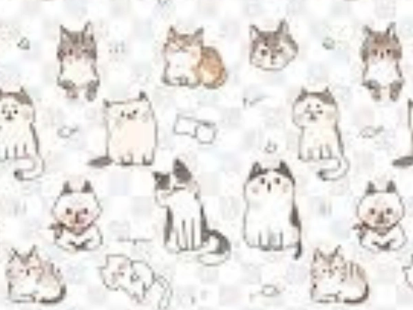 The First Episode | DataBase Cats Wiki | Fandom