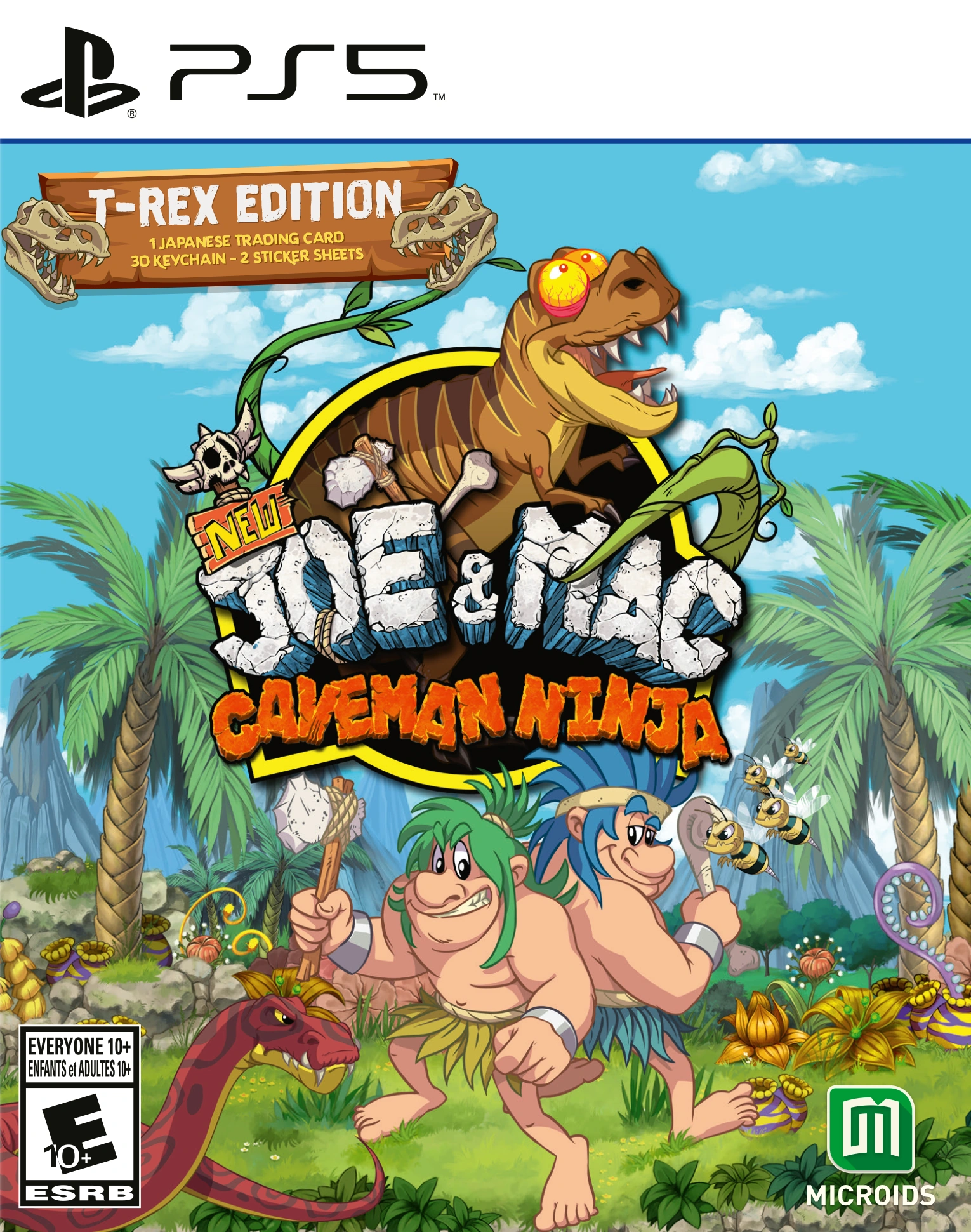 Ninja Joe Game