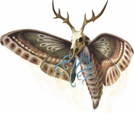 Escorite | Dragons and Things Network Wiki | Fandom