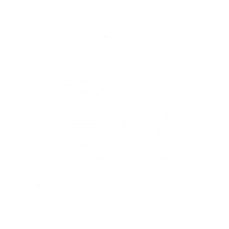 Zephyr Crest (Sigil) - Official Dauntless Wiki