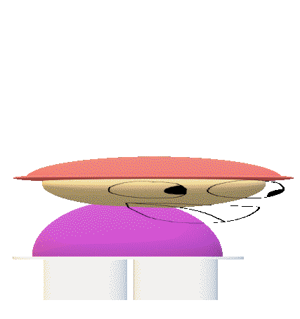 Cockey (Vs. Dave and Bambi) | Dave and Bambi 日本語 Wiki | Fandom