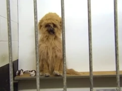 Dave spud | Dave spud Wiki | Fandom