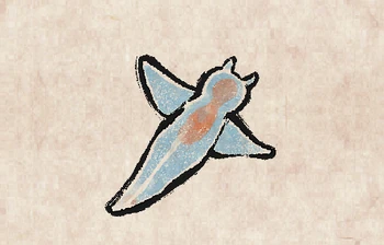 Clione | Dave the Diver Wiki | Fandom