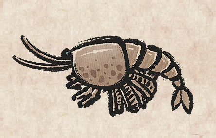 Waptia Fieldensis | Dave the Diver Wiki | Fandom