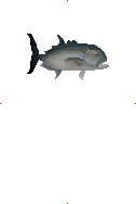 Giant Trevally | Dave the Diver Wiki | Fandom