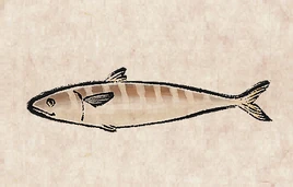 Comber | Dave the Diver Wiki | Fandom