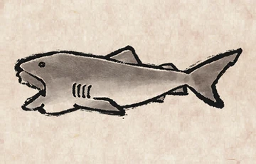 how to draw a megamouth shark