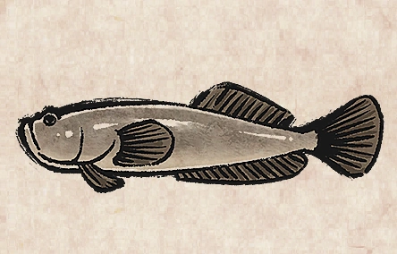 Bluespotted Stargazer | Dave the Diver Wiki | Fandom