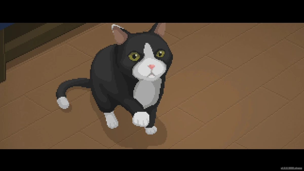 Momo | Dave the Diver Wiki | Fandom