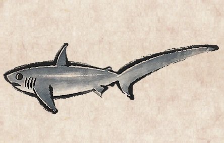 Thresher Shark | Dave the Diver Wiki | Fandom