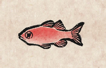 Cardinal Fish | Dave the Diver Wiki | Fandom