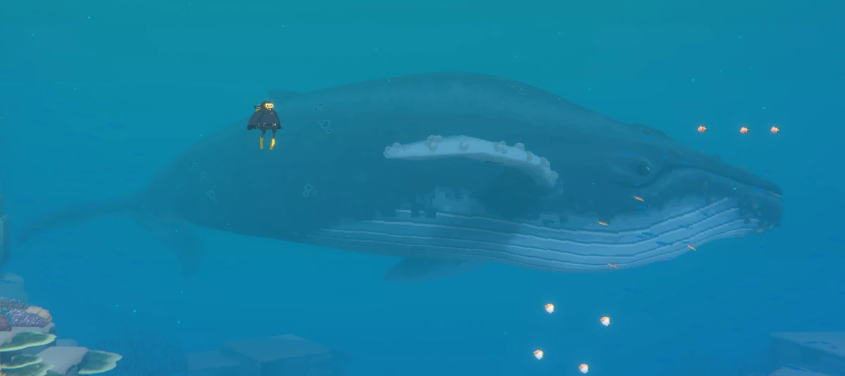 Humpback Whale | Dave the Diver Wiki | Fandom