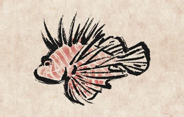 how to draw a lionfish step by step