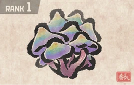 Rainbow Cap | Dave the Diver Wiki | Fandom