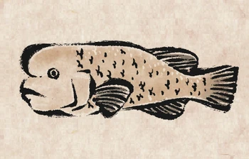 Sheepshead | Dave the Diver Wiki | Fandom