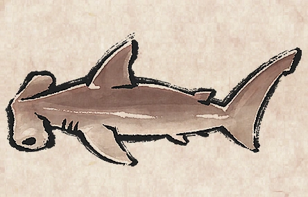 Smooth Hammerhead | Dave the Diver Wiki | Fandom