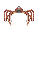 Spider Crab | Dave the Diver Wiki | Fandom