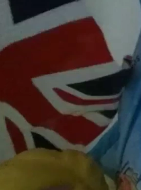 Mr. Flag | Dave the Dog Does: The Wiki | Fandom