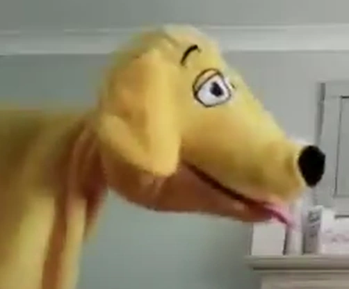 Dave the Dog | Dave the Dog Does: The Wiki | Fandom