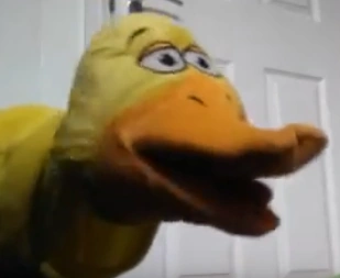 Quacksterz the Duck | Dave the Dog Does: The Wiki | Fandom