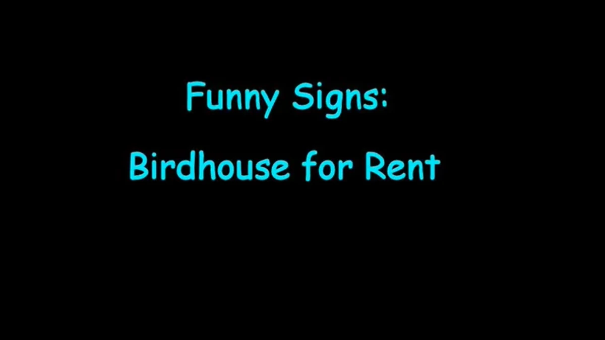 Birdhouse for Rent | Davemadson enterprises inc. Wiki | Fandom