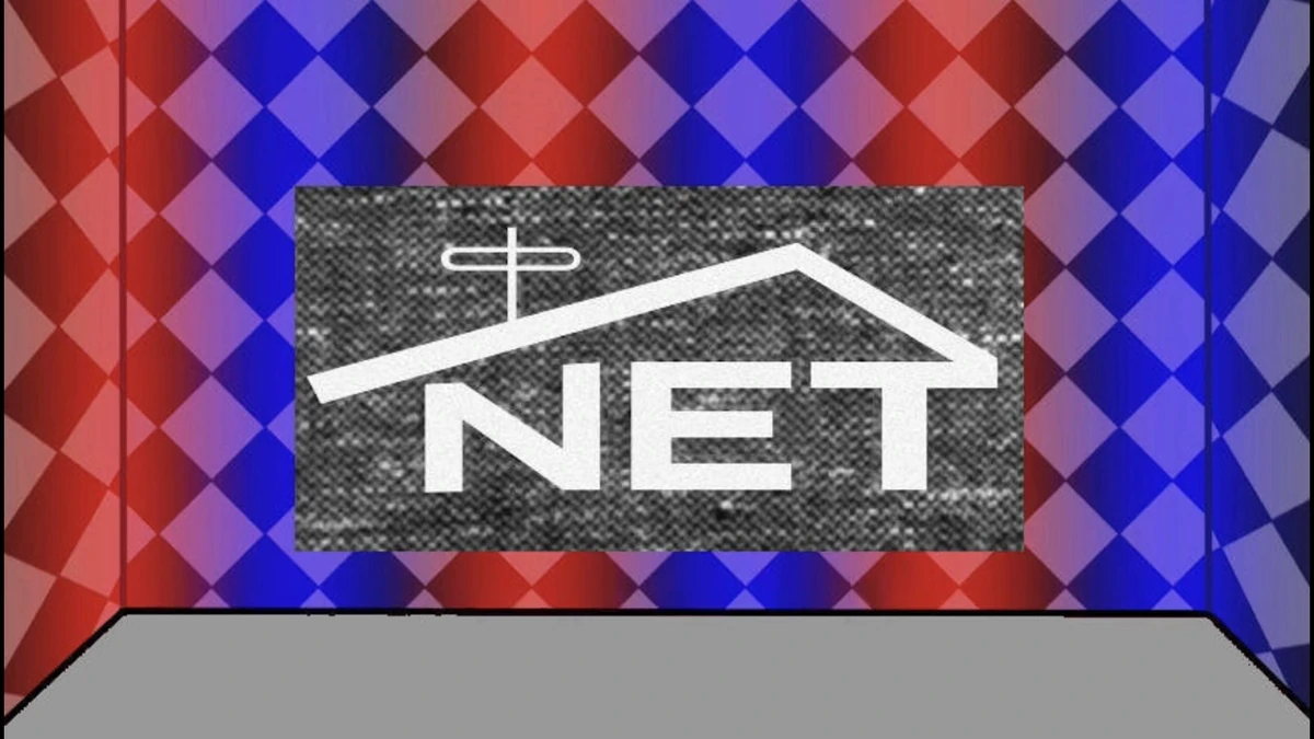 NET Carpet | Davemadson enterprises inc. Wiki | Fandom