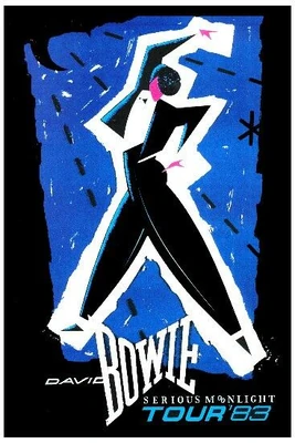 The Serious Moonlight Tour | David Bowie Wiki | Fandom