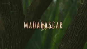 Madagascar | David Attenborough Wiki | Fandom